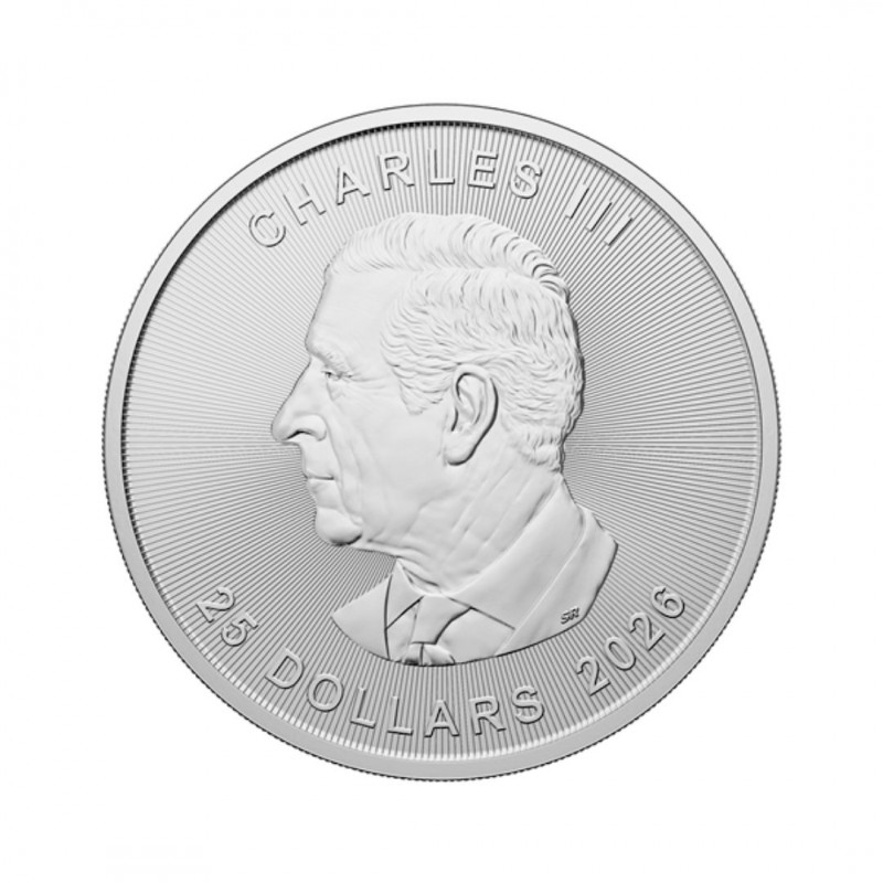 Maple Leaf Silver, 5 Ounce - MINTSHIELD™ | 2026 Edition