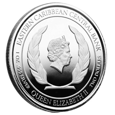 1 oz EC8 St Kitts & Nevis Coloured Surfer silver coin| 2022 | Bruxelles ...